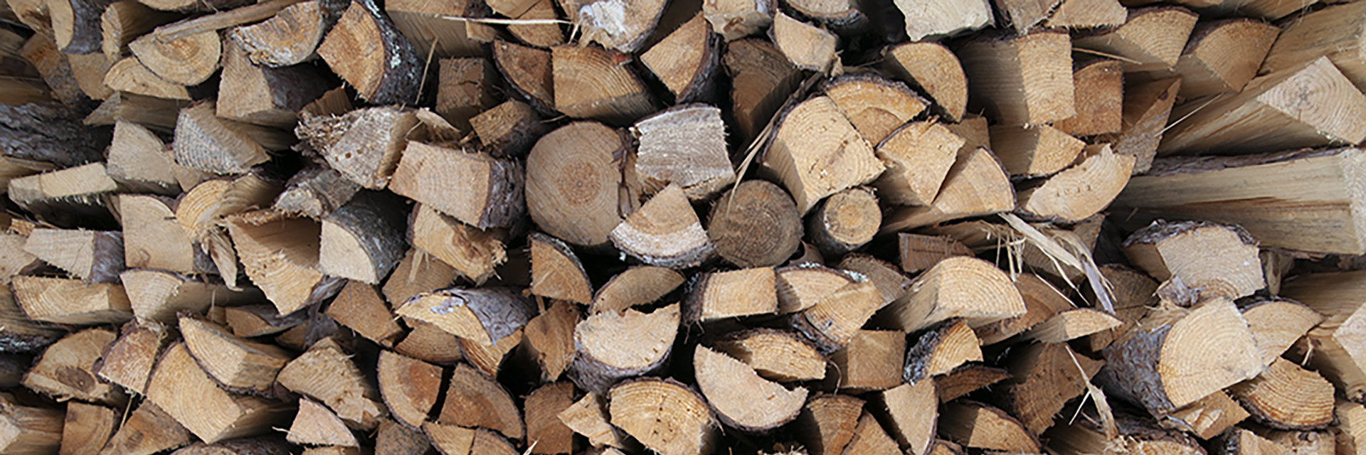 - Bear Paw Maple Syrup