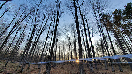 Our Syrup - Bear Paw Maple Syrup